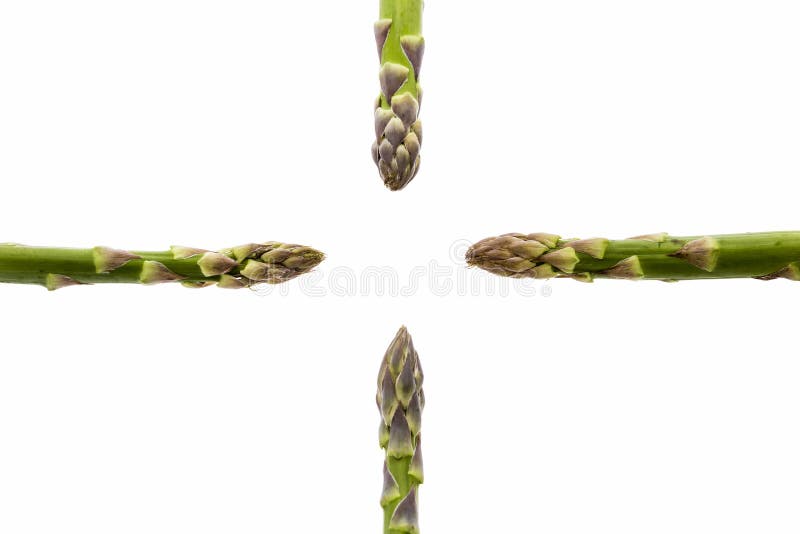 Four Green Asparagus Tips Pointing at Central Void Stock Photo - Image ...