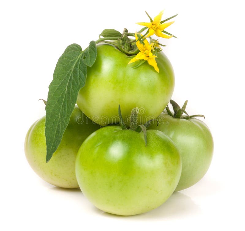 Four Unripe Jackfruit. Stick To Her Request Stock Photo - Image of ...