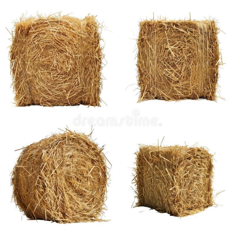 Four Hay Bales in Different Shapes and Sizes Stock Photo - Illustration ...