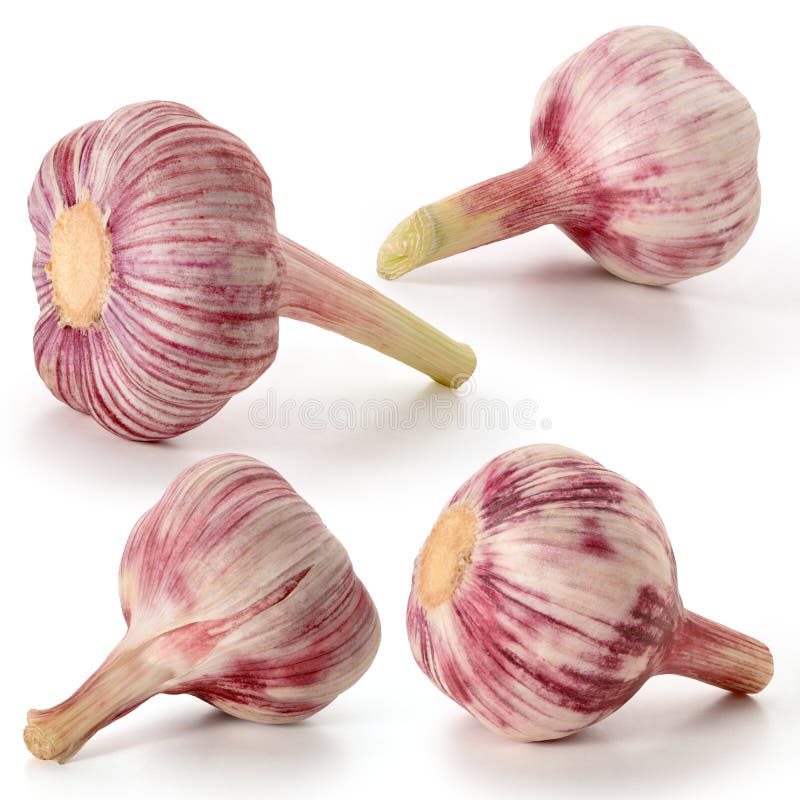 Angry Garlic with Cartoon Face on Gray Background Stock Photo - Image ...