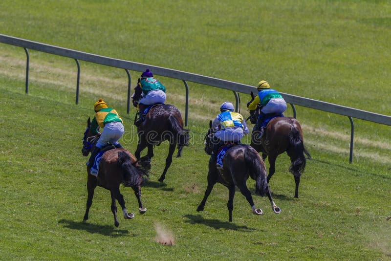 Four Horses Racing Rear editorial image. Image of sprint - 27797590