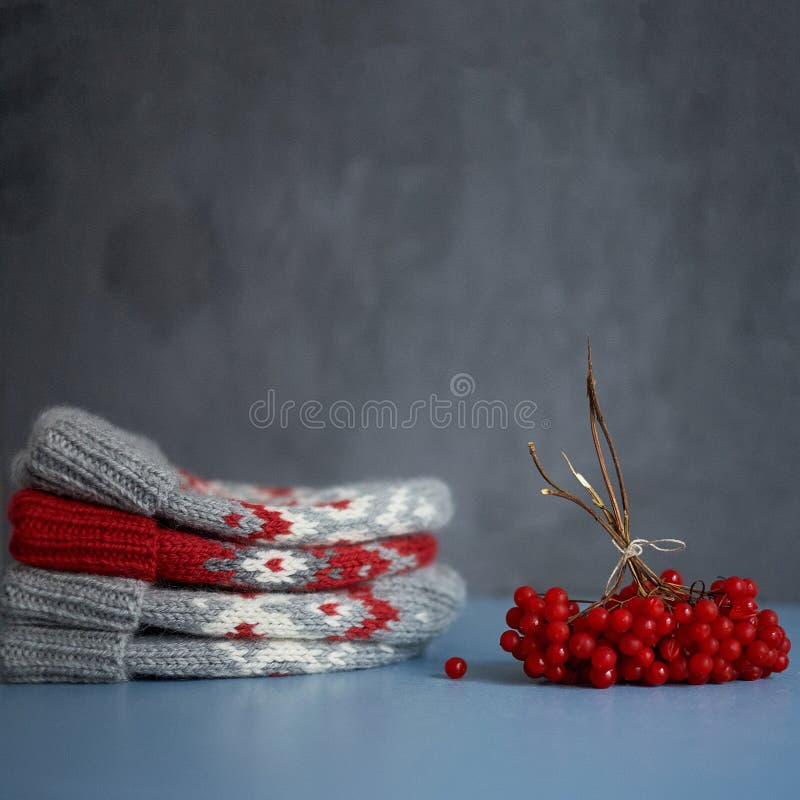 Four Knitted Winter Hats with Red Berries Stock Photo - Image of ...