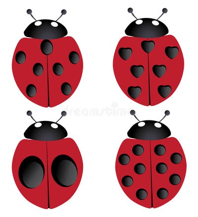 Four ladybugs stock vector. Illustration of drawing, cute - 18885465