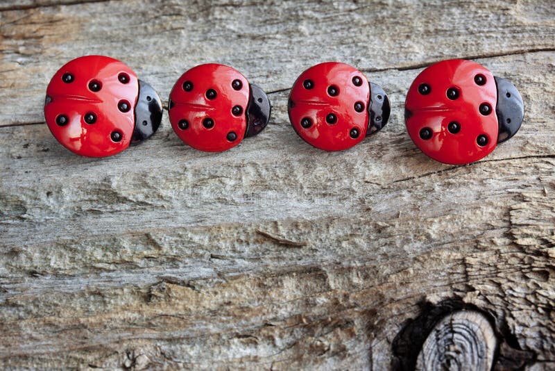 Black and white rose stock image. Image of background - 130250515