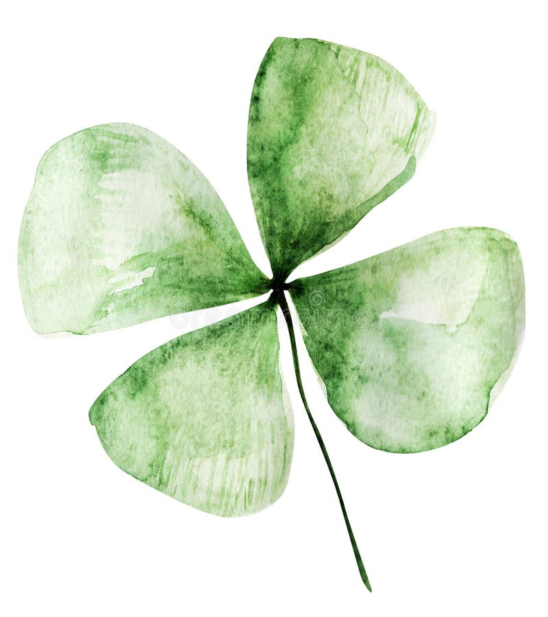 Four Leaf Clover Isolated Watercolor Element Stock Illustration ...