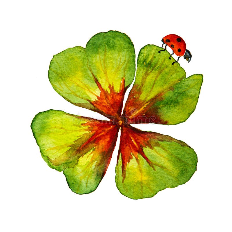 Ladybug Four Leaf Clover