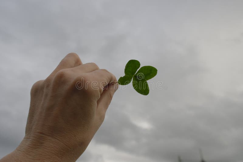 Leaf Clover in Hand on Background of Cloudy Sky Stock Image - Image of ...