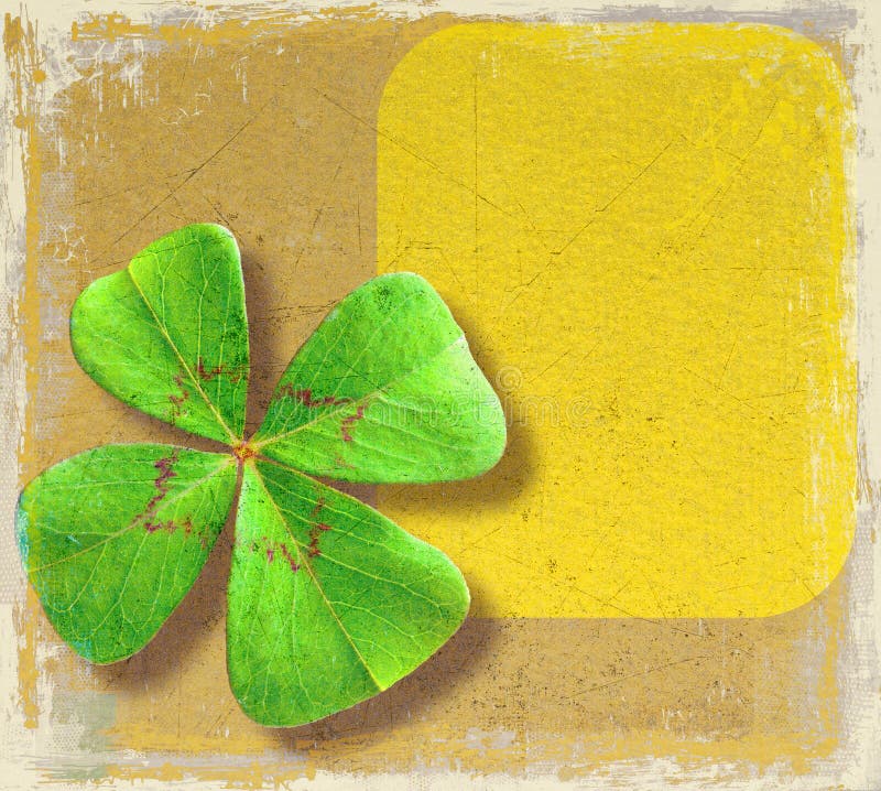 Four-leaf clover on paper stock illustration. Illustration of grunge ...
