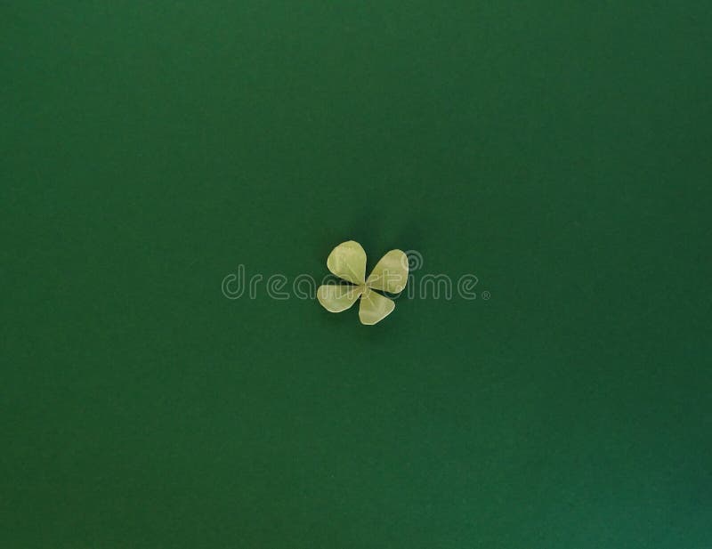 Four leaf clover stock photo. Image of table, minimalism - 110539868