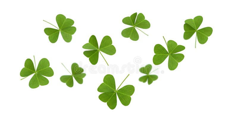 Four Leaf Clovers Falling Down Isolated. Green Shamrocks Floating in ...