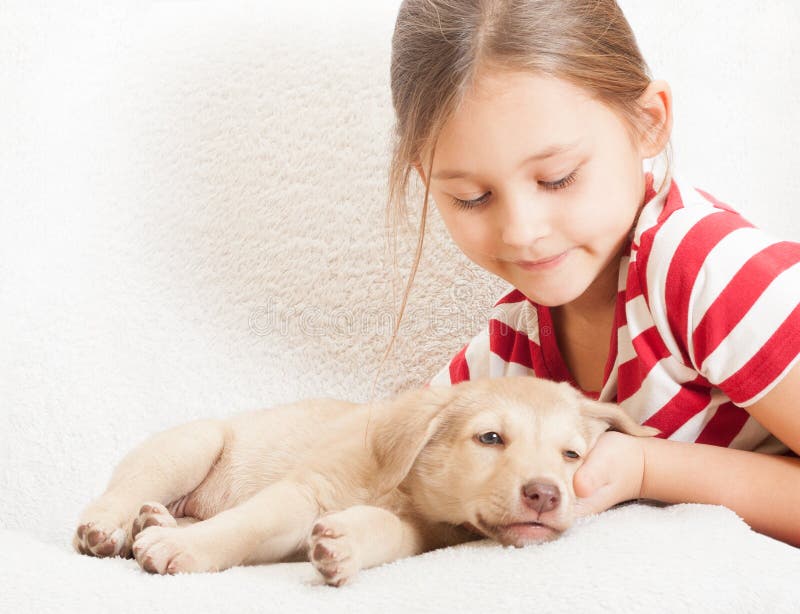 Four-legged friend stock photo. Image of expressing, fluffy - 35220964
