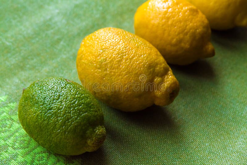 Four Lemons of Different Maturity Lie on a Table or on a White ...