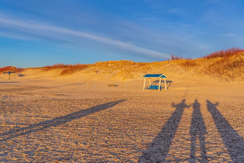Four Long Shadows on the Sand of the Seaside at Sunset Stock Image ...