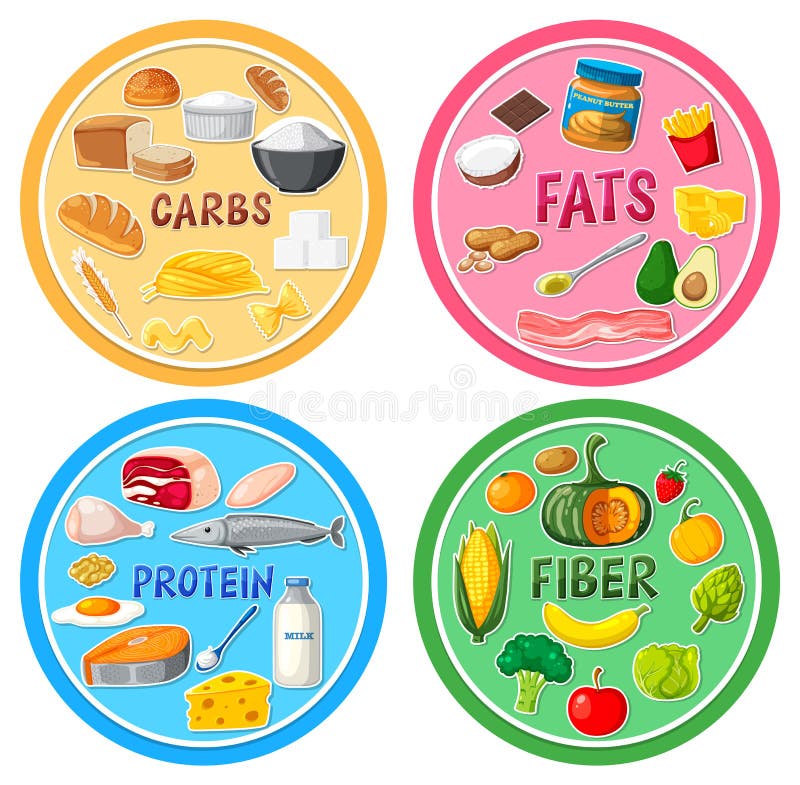 The four main food groups stock vector. Illustration of element - 266159682