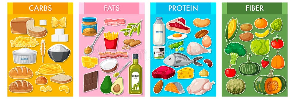 The four main food groups stock vector. Illustration of group - 268595781