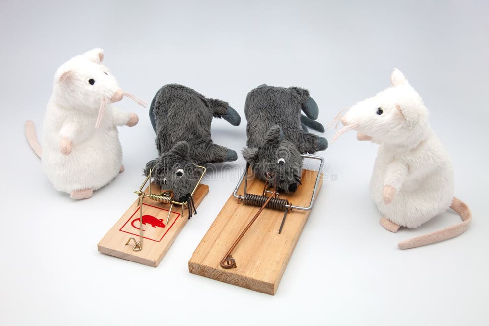 Four mice stock image. Image of animal, cheat, muerte - 35150573