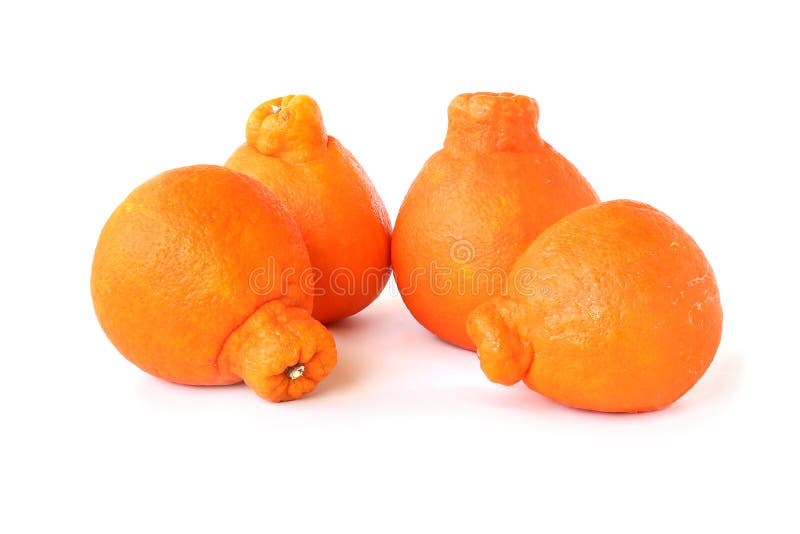 Mineolas Stock Photos - Free & Royalty-Free Stock Photos from Dreamstime