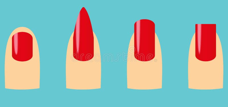 Oval Nail Stock Illustrations – 473 Oval Nail Stock Illustrations ...