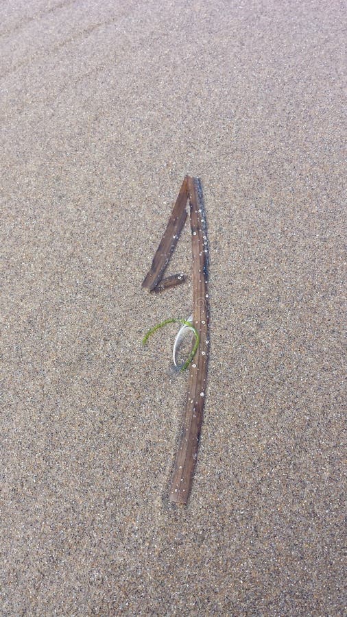 Nature Number Four Sand Beach Stock Photos - Free & Royalty-Free Stock ...