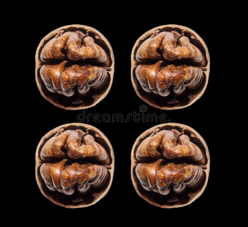 Four Open Nuts Isolated Over Plane Background Stock Photos - Free ...