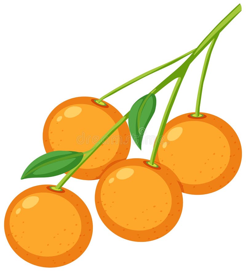 Four Oranges