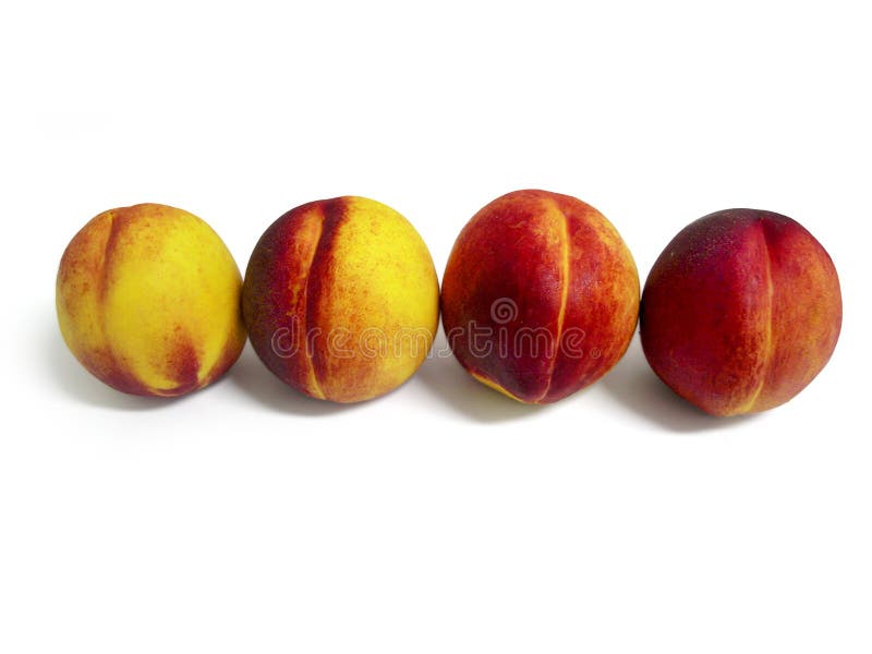 Four! Picture. Image: 2358001