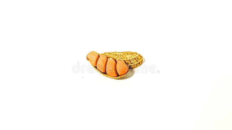 Four Peanut Seeds in Split Shell on White Surface Stock Photo - Image ...