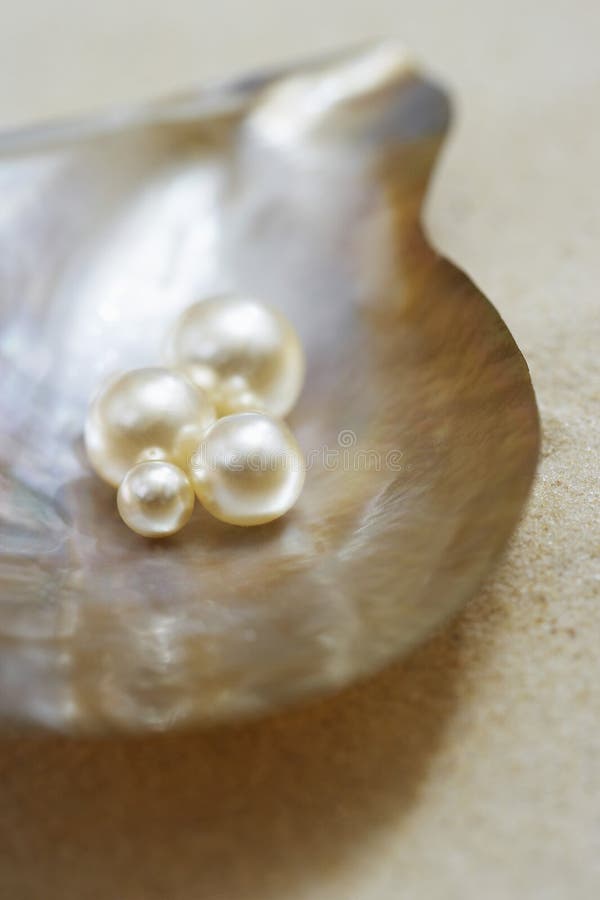 Four Pearls in Open Oyster Shell on Beach Close Up Elevated View Stock ...