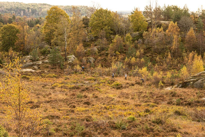 Four People Walking on a Path through the Forest.. Stock Image - Image ...