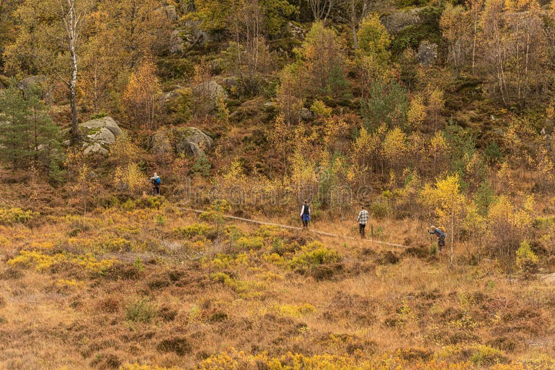 Four People Walking on a Path through the Forest.. Stock Image - Image ...