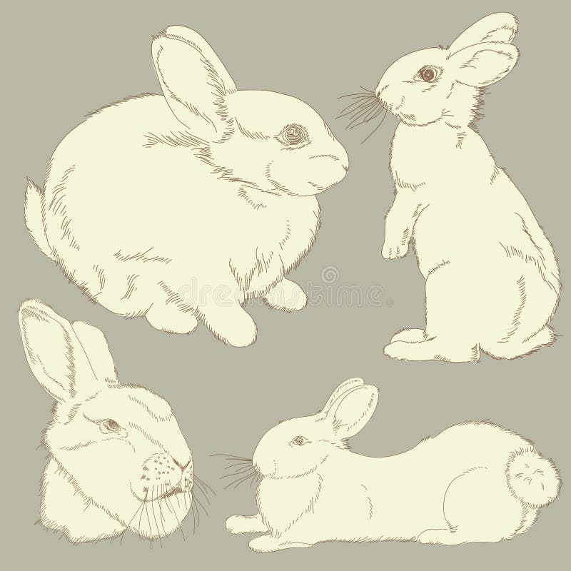 Four Rabbits Stock Illustrations – 168 Four Rabbits Stock Illustrations ...