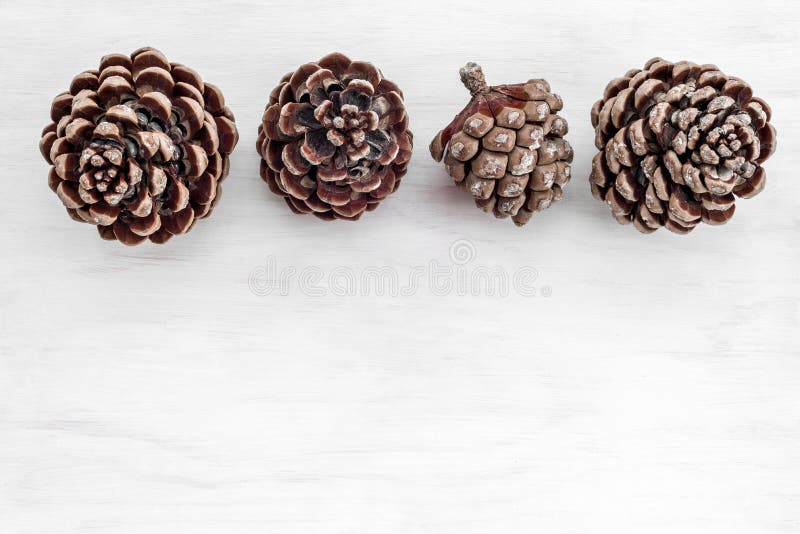 Four Pine Tree Cones on White Wooden Background Stock Photo - Image of ...