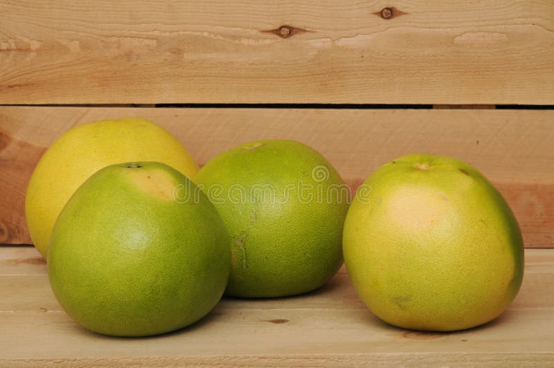 Four pomelo stock photo. Image of closeup, shelf, tasty - 28687742