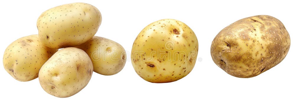 Four Potatoes, Each with Unique Characteristics, Lay on a White ...