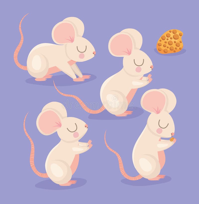Four Rodents Stock Illustrations – 36 Four Rodents Stock Illustrations ...