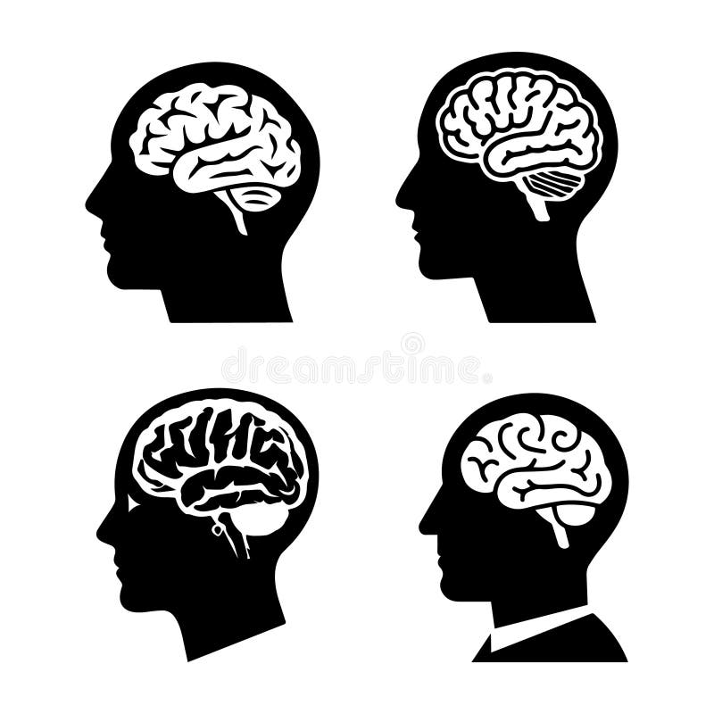 Four Profile Views of Human Heads with Brains Stock Vector ...