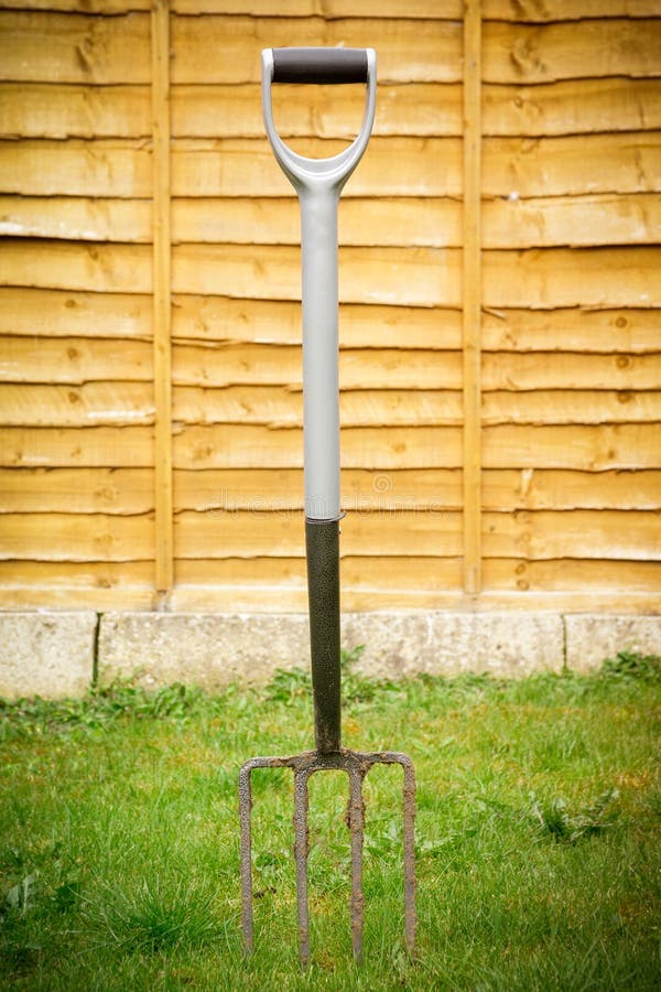 Four pronged garden Fork. stock photo. Image of soil - 39558104
