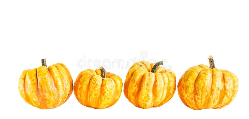 Four Pumpkin on a White Background Stock Image - Image of countryside ...