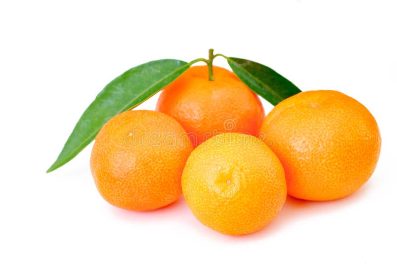 Four range fruit with leaf stock image. Image of organic - 81290151