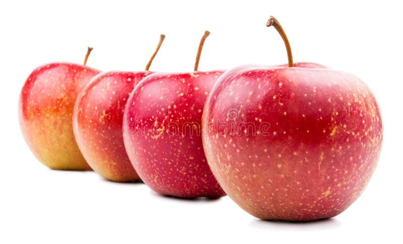 Red tasty apple stock photo. Image of light, lesson, delight - 55988764