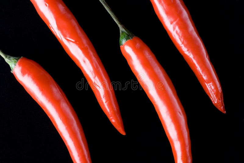 Four Red Chili Picture. Image: 4891755