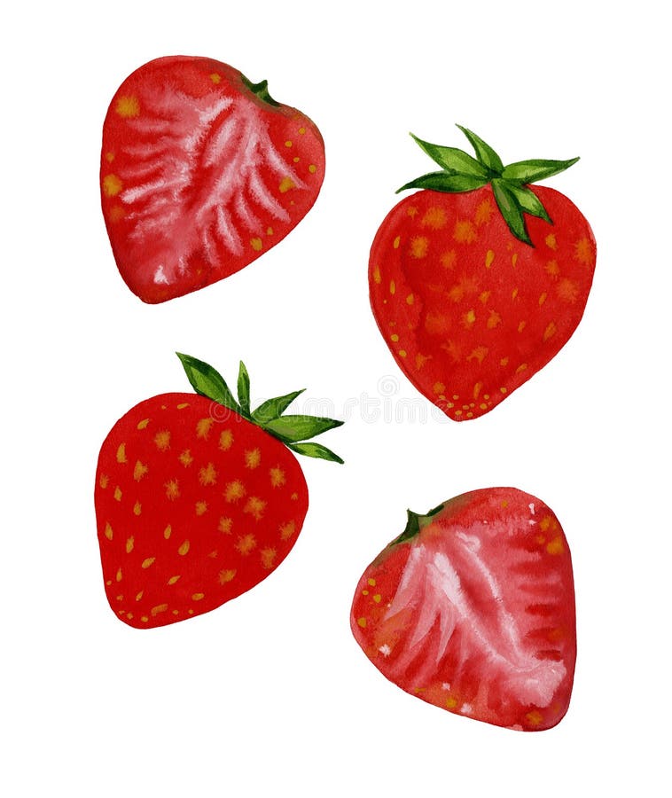 Four Strawberries Stock Illustrations – 66 Four Strawberries Stock ...
