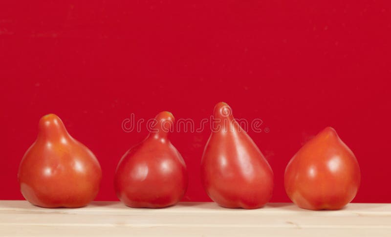 Four red tomatoes on red stock image. Image of tomato - 25405393