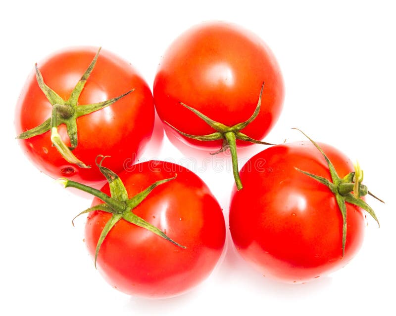 Four Tomatoes Under Water on a White Background Stock Image - Image of ...