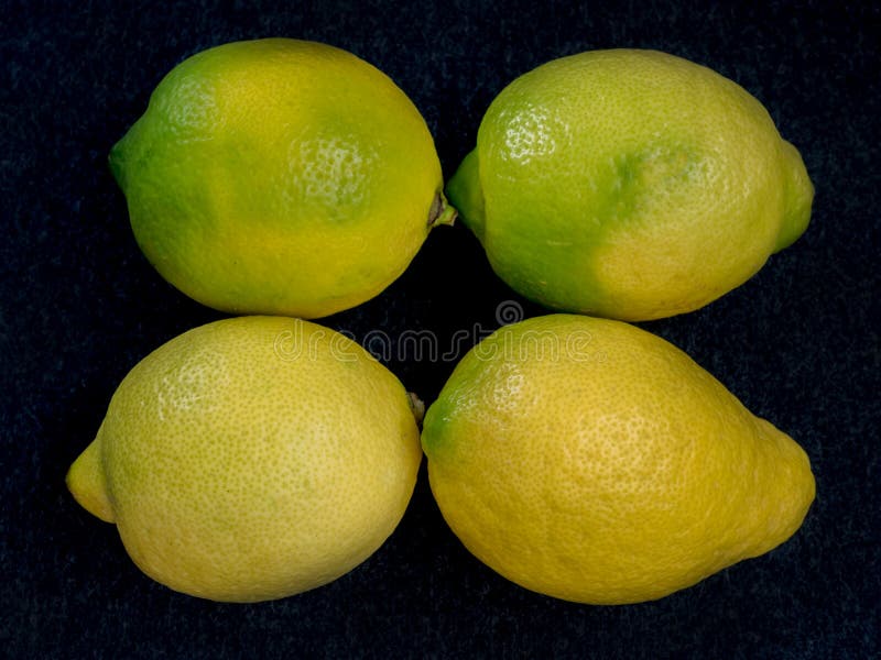 Four Ripe Yellow Lemons in Rows Stock Image - Image of food, lemons ...