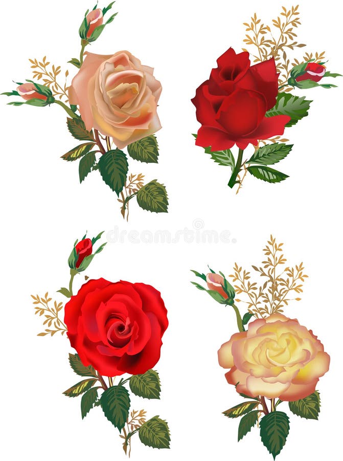 Four Rose Flowers Compositions Isolated On White Stock Vector ...
