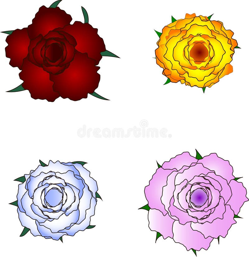Four roses vector stock vector. Illustration of freshness - 88135704