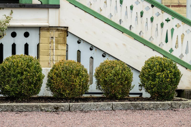 Four Round Trimmed Bushes by a House.. Stock Photo - Image of outside ...