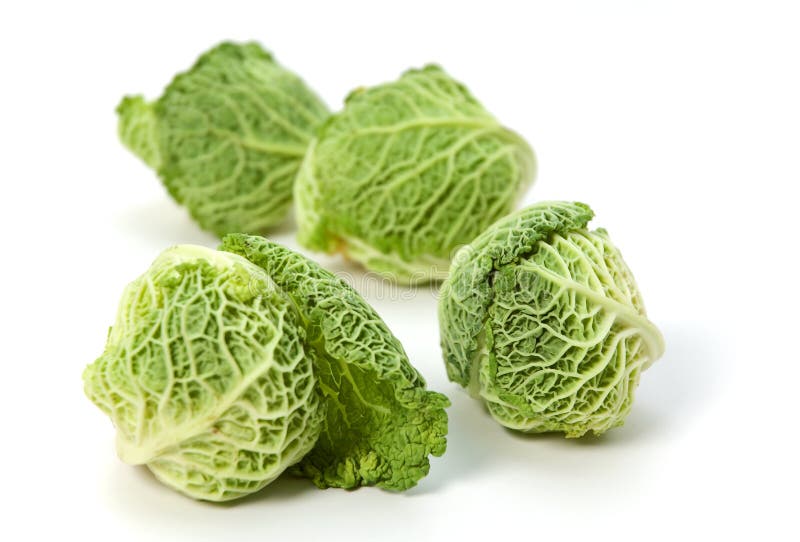 Four savoy cabbages stock image. Image of pattern, healthy - 11605369