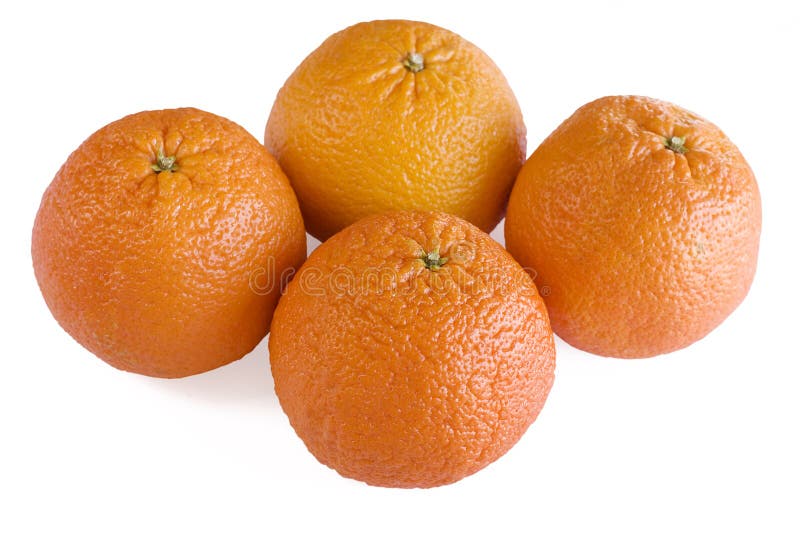 Four Scarlet Oranges stock image. Image of variety, isolated - 12532041